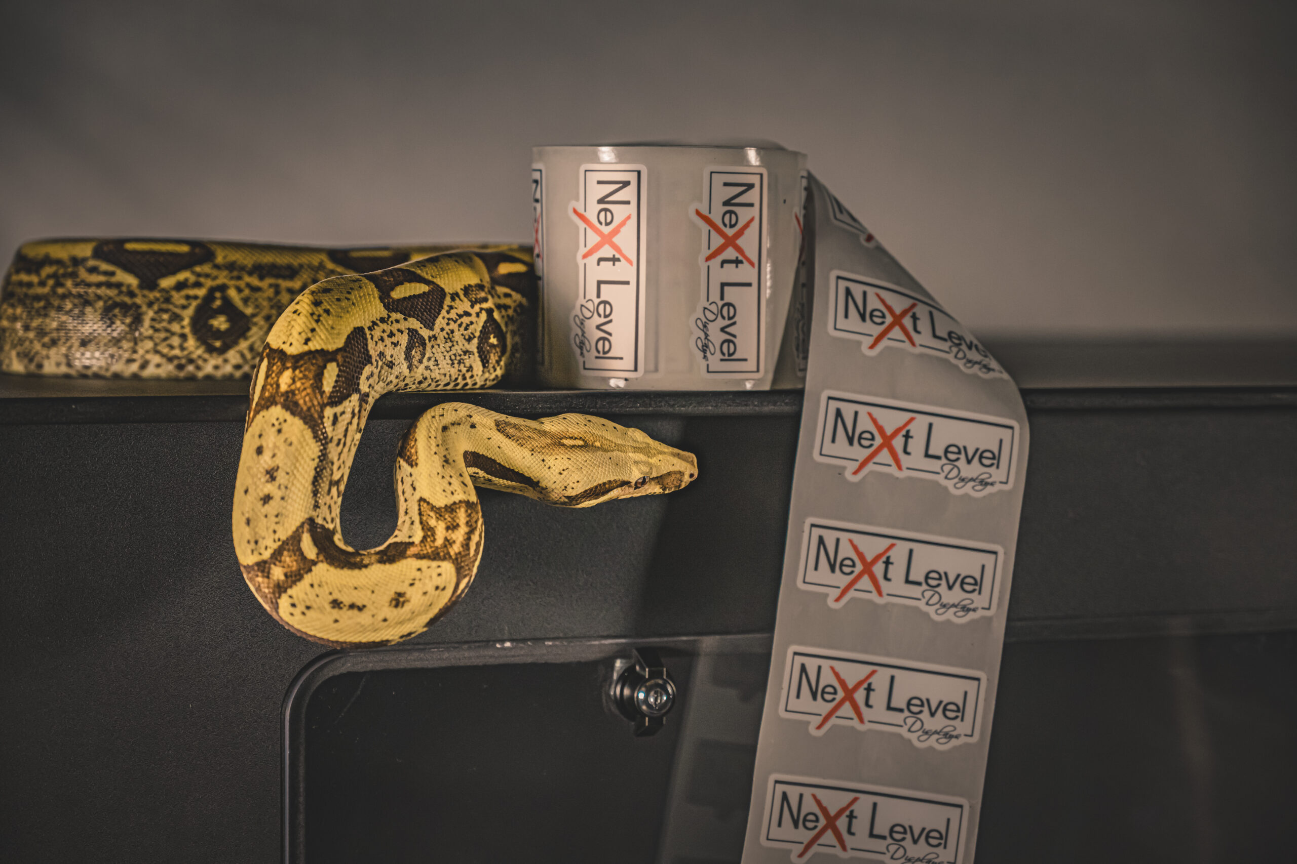 About Us - Next-Level Displays